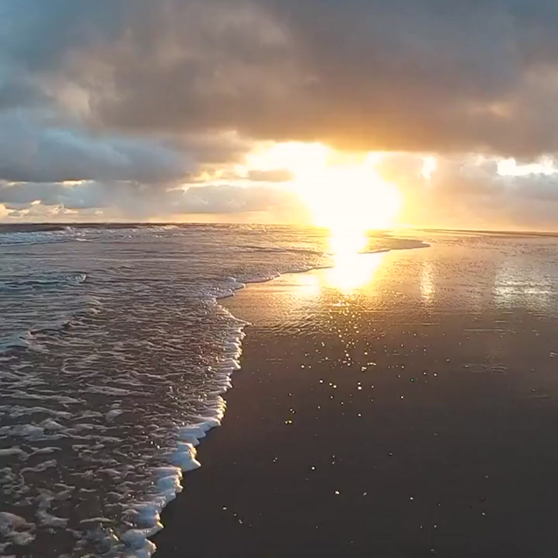 Microsoftoffice 独学で資格取得戦略 | h.ikeda